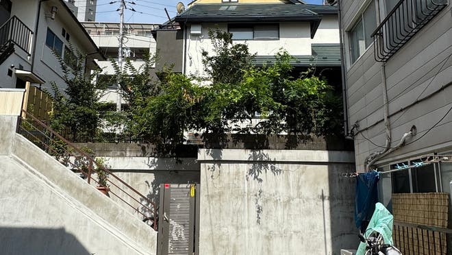 グランドピアノ・庭付き ロココ調スペースの写真4