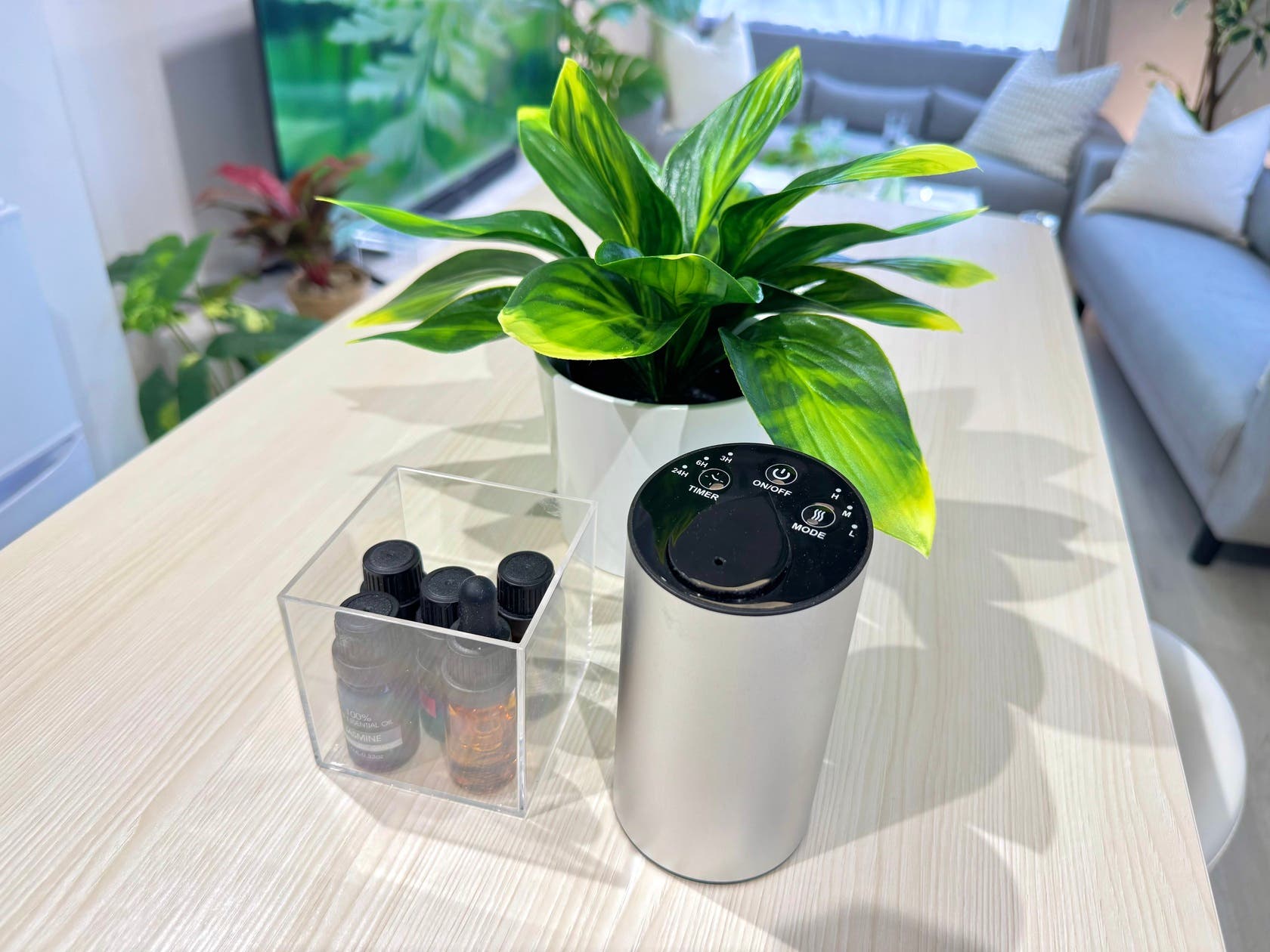 New Open!✨上野エリア･入谷駅3分🌿グリーン溢れる癒し空間🍃推し活💖女子会🥂ママ友会☕️75型TV📺撮影📷の写真5