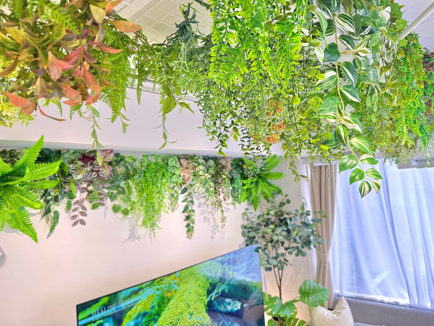 New Open!✨上野エリア･入谷駅3分🌿グリーン溢れる癒し空間🍃推し活💖女子会🥂ママ友会☕️75型TV📺撮影📷の写真4