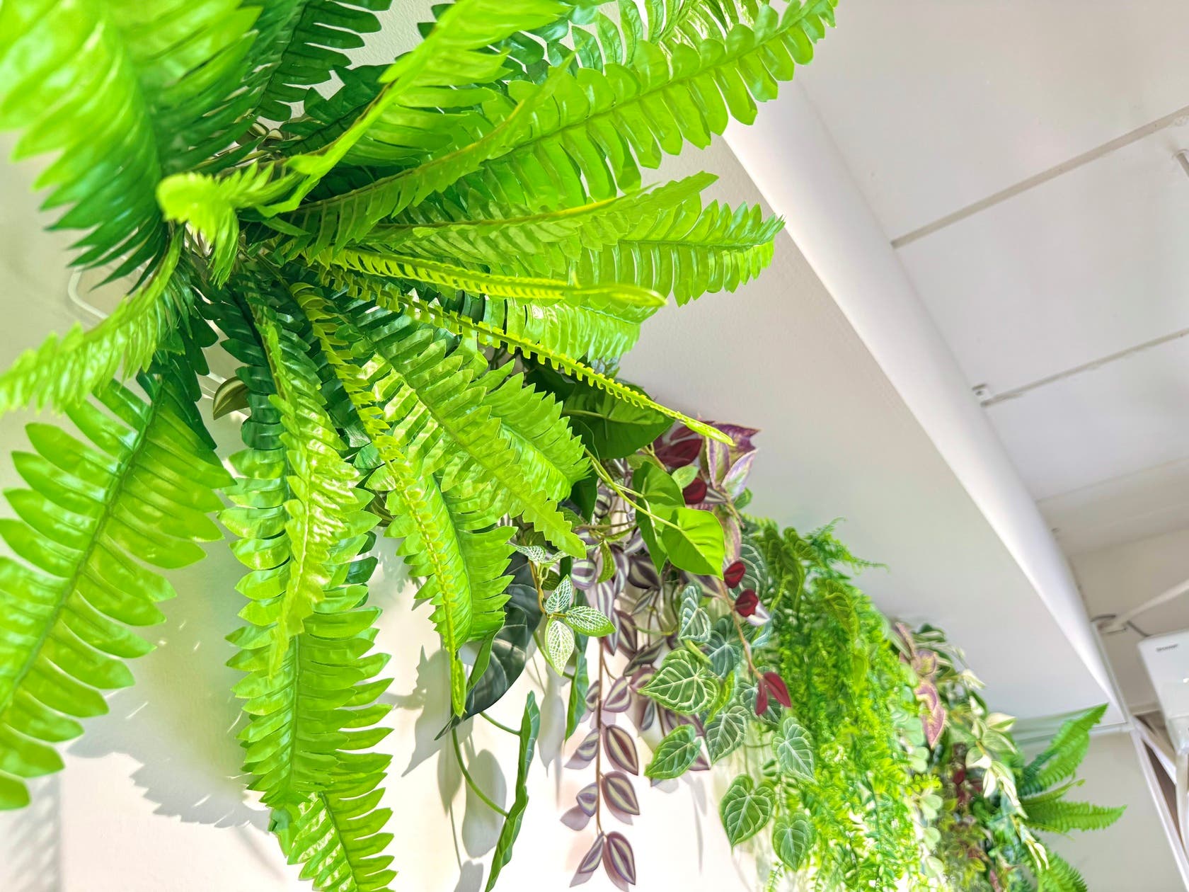 New Open!✨上野エリア･入谷駅3分🌿グリーン溢れる癒し空間🍃推し活💖女子会🥂ママ友会☕️75型TV📺撮影📷の写真13