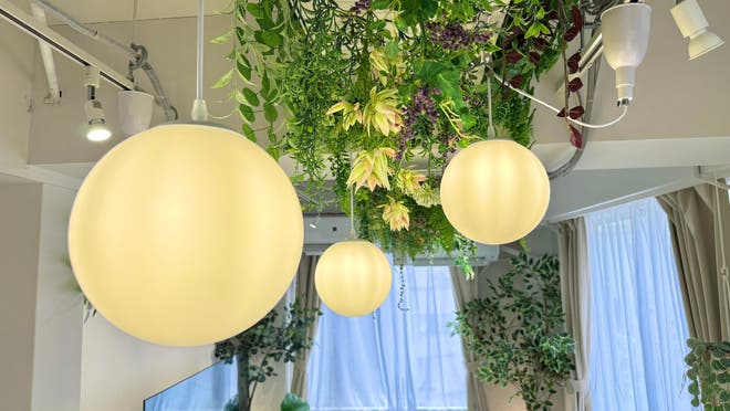 New Open!✨上野エリア・入谷駅3分🌿グリーン溢れる癒し空間🍃推し活💖女子会🥂ママ友会☕️75型TV📺撮影📷の写真9