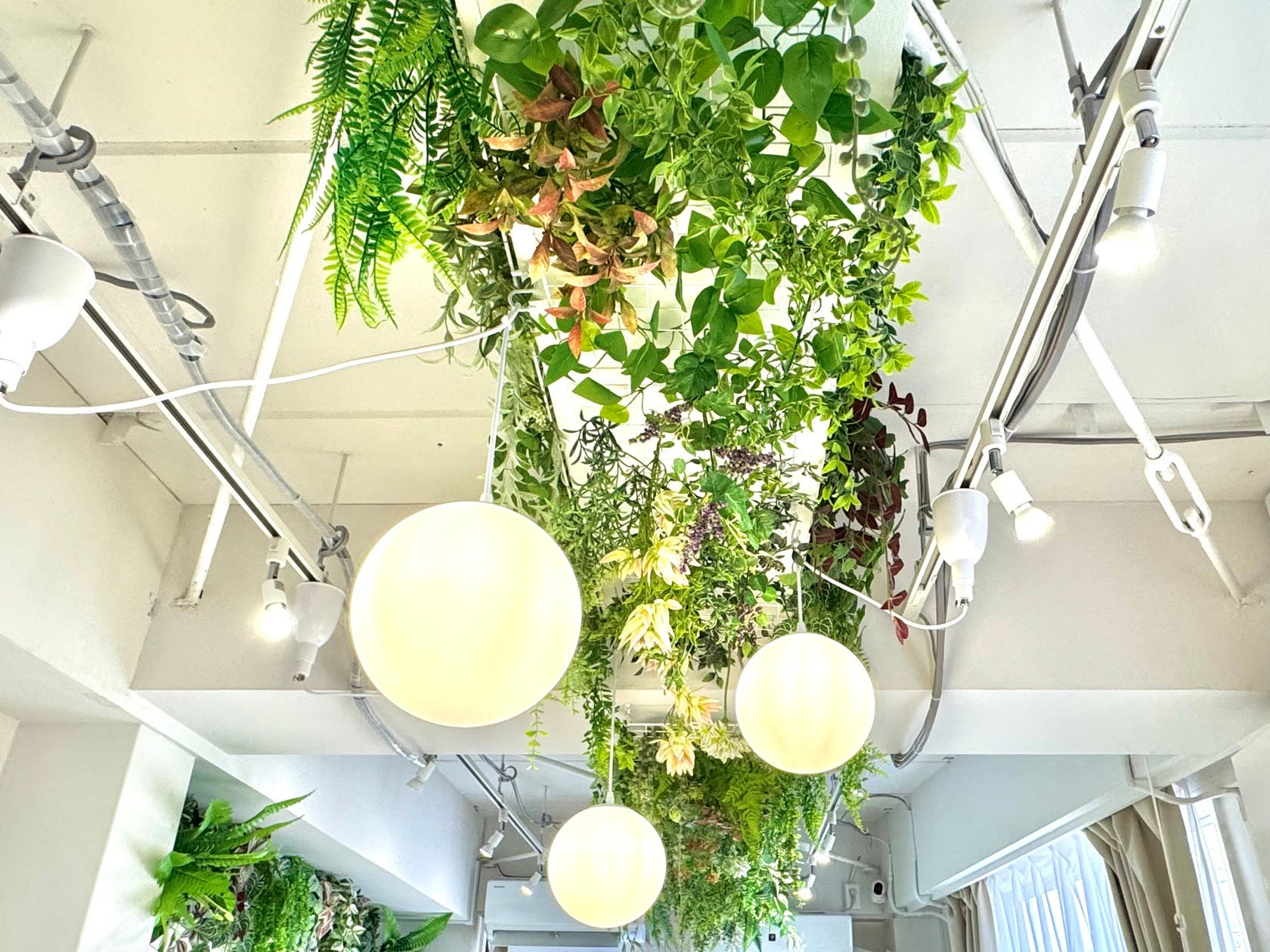 New Open!✨上野エリア･入谷駅3分🌿グリーン溢れる癒し空間🍃推し活💖女子会🥂ママ友会☕️75型TV📺撮影📷の写真16