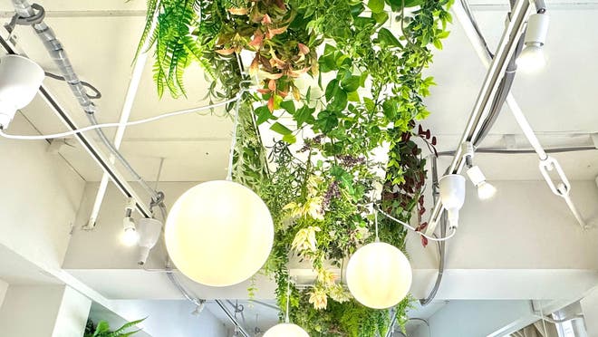 New Open!✨上野エリア・入谷駅3分🌿グリーン溢れる癒し空間🍃推し活💖女子会🥂ママ友会☕️75型TV📺撮影📷の写真16