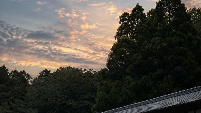 和とシノワズリが交差する、東洋の美意識が息づく非日常空間 日本家屋ハウススタジオの写真2