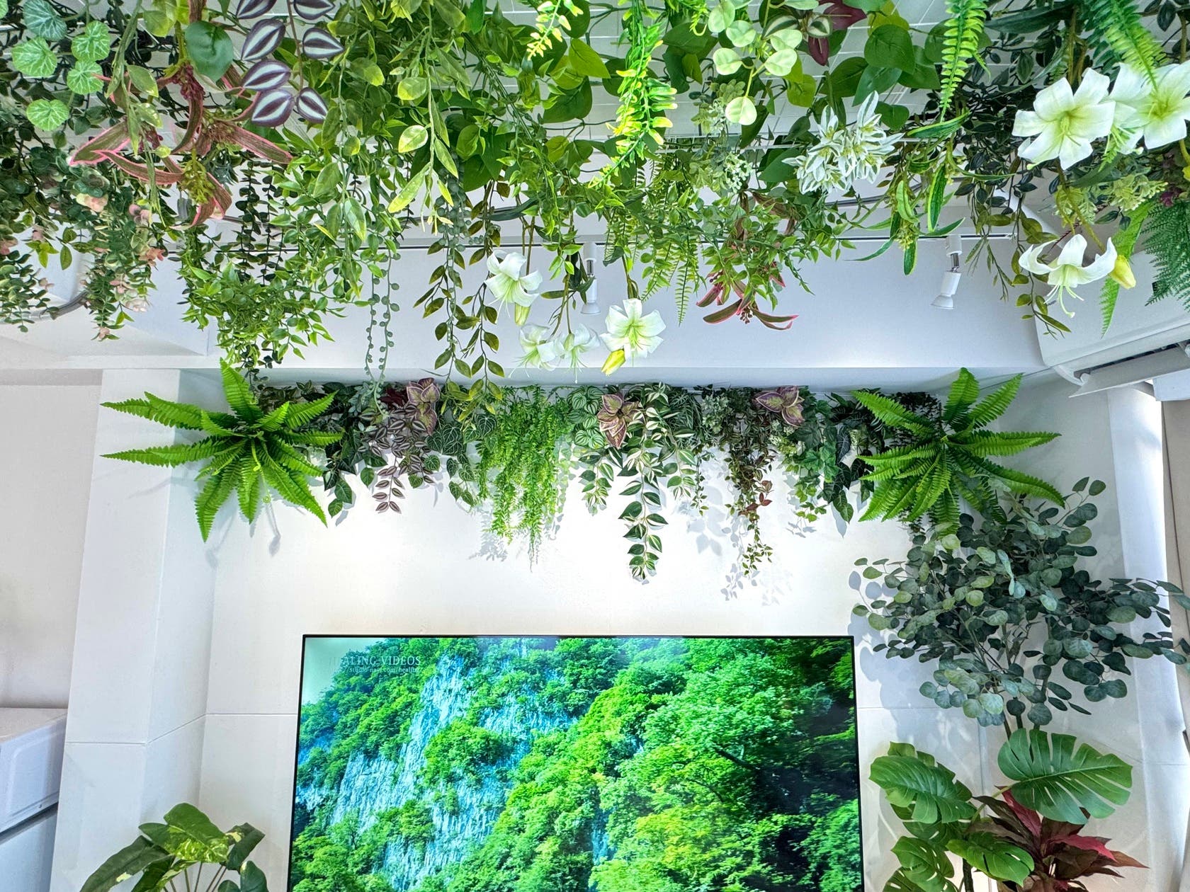 New Open!✨上野エリア･入谷駅3分🌿グリーン溢れる癒し空間🍃推し活💖女子会🥂ママ友会☕️75型TV📺撮影📷の写真5