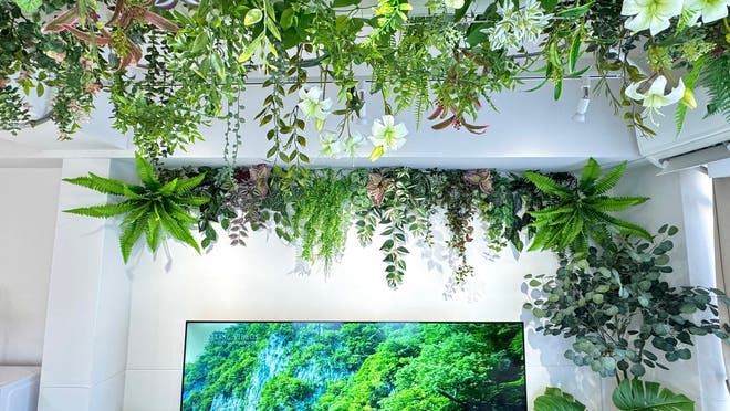 New Open!✨上野エリア・入谷駅3分🌿グリーン溢れる癒し空間🍃推し活💖女子会🥂ママ友会☕️75型TV📺撮影📷の写真5