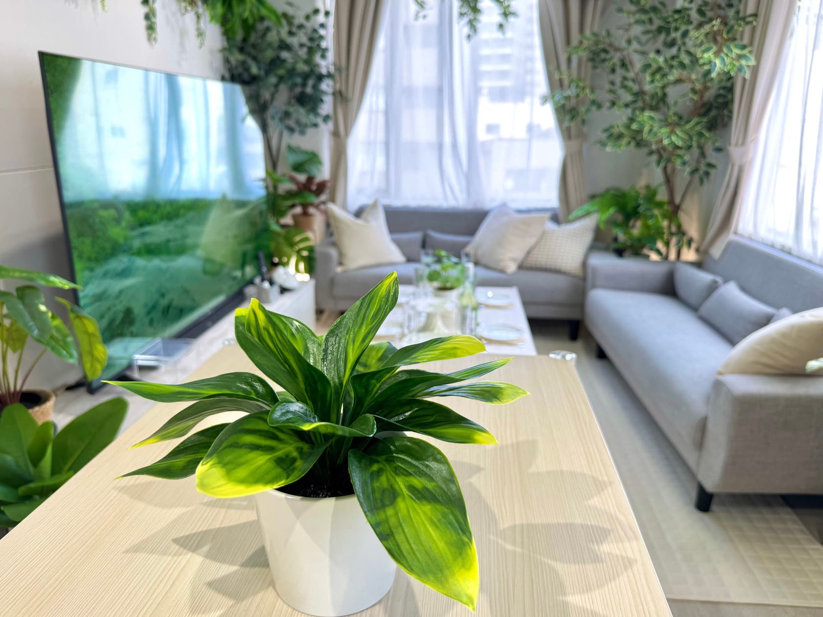 New Open!✨上野エリア･入谷駅3分🌿グリーン溢れる癒し空間🍃推し活💖女子会🥂ママ友会☕️75型TV📺撮影📷の写真14