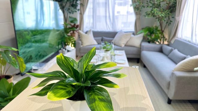 New Open!✨上野エリア・入谷駅3分🌿グリーン溢れる癒し空間🍃推し活💖女子会🥂ママ友会☕️75型TV📺撮影📷の写真14