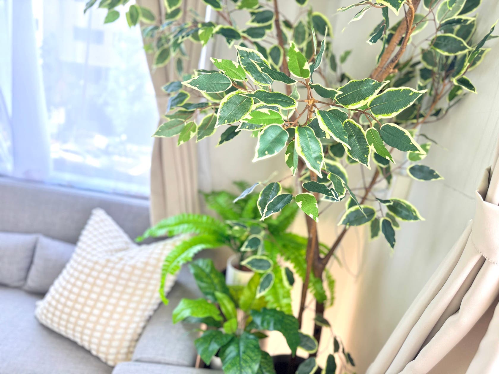 New Open!✨上野エリア･入谷駅3分🌿グリーン溢れる癒し空間🍃推し活💖女子会🥂ママ友会☕️75型TV📺撮影📷の写真18