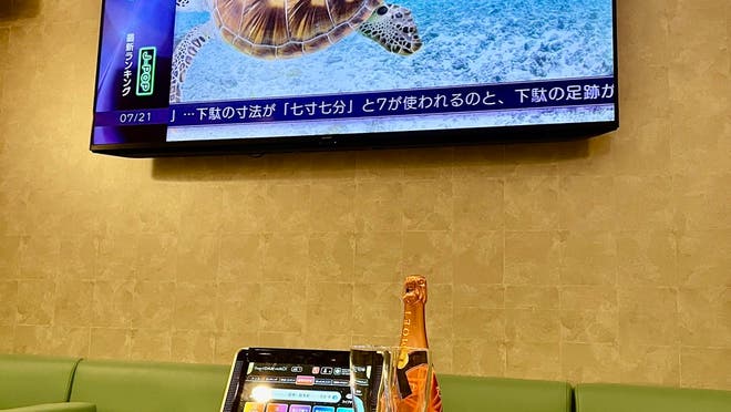 【権堂徒歩圏】カラオケ完備ラグジュアリーラウンジ✨合コン・個室パーティー・打ち上げ・1日カフェ営業にも!【長野市中心部】の写真2