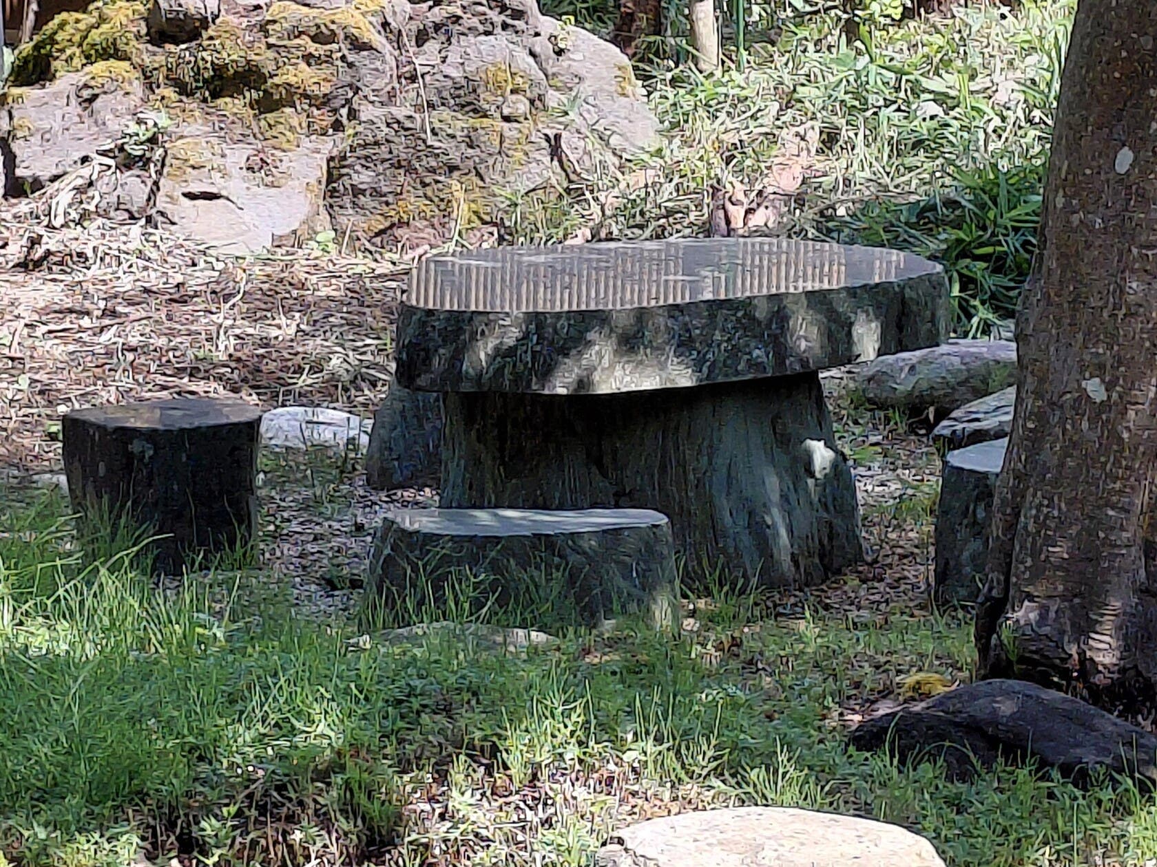 【新潟市西蒲区】約47坪の庭を貸切｜BBQ・ピザ窯・プールの写真2