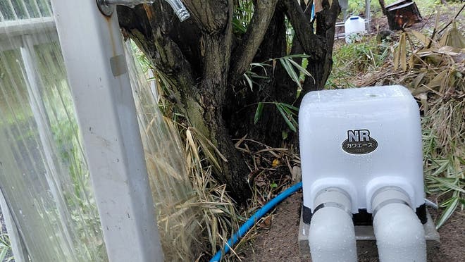 【新潟市西蒲区】約47坪の庭を貸切|BBQ・ピザ窯・プールの写真6