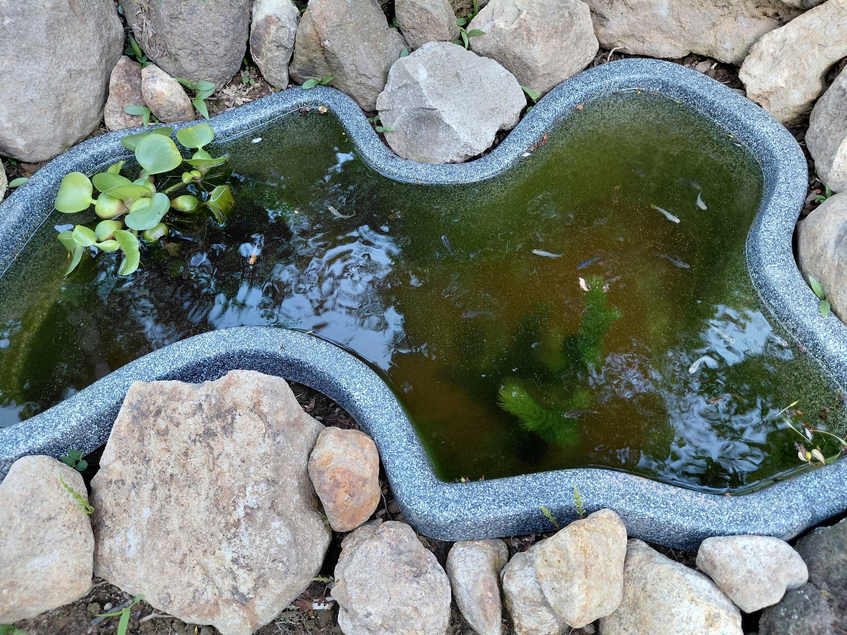 【新潟市西蒲区】約47坪の庭を貸切｜BBQ・ピザ窯・プールの写真13