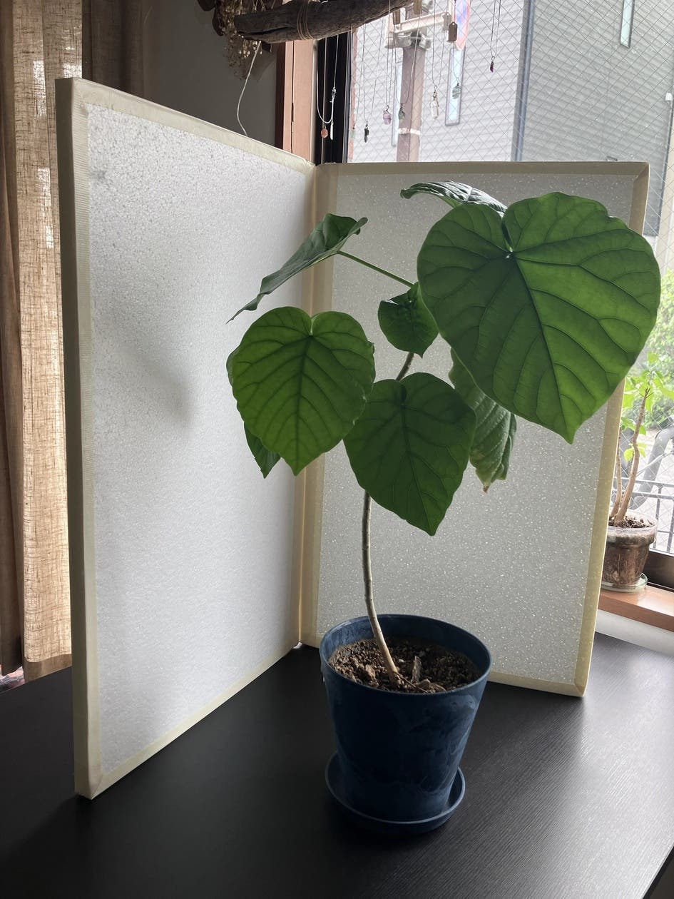 レフ板・背景板貸出オプションの画像2
