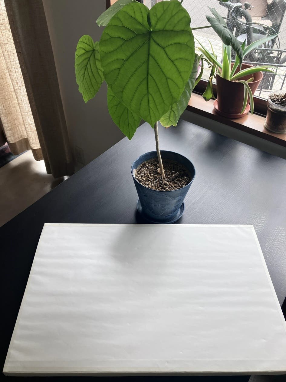 レフ板・背景板貸出オプションの画像4