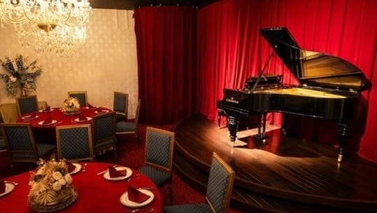 【御成門2分】世界三大ピアノ・ベヒシュタイン常設!宮殿風サロン◆個人練習から各種撮影・配信までの写真1