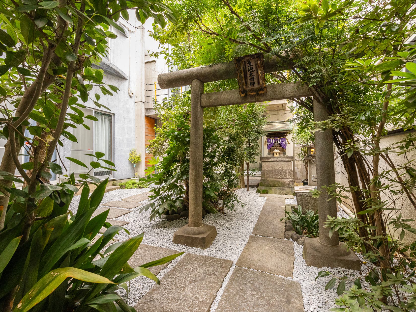 【展示会・撮影】Yanaka Ginza Studio / 谷中銀座スタジオの写真28