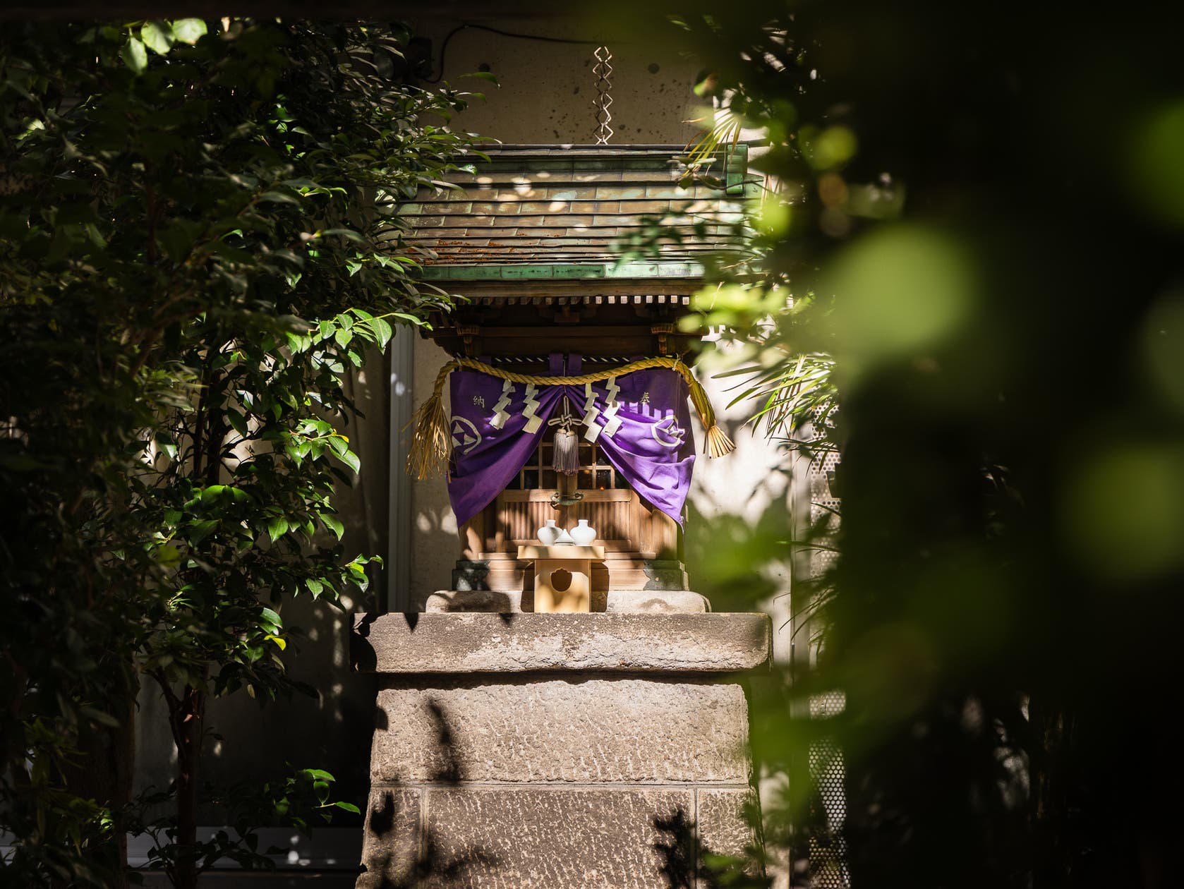 【展示会・撮影】Yanaka Ginza Studio / 谷中銀座スタジオの写真29