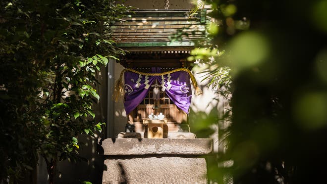 【展示会・撮影】Yanaka Ginza Studio / 谷中銀座スタジオの写真29