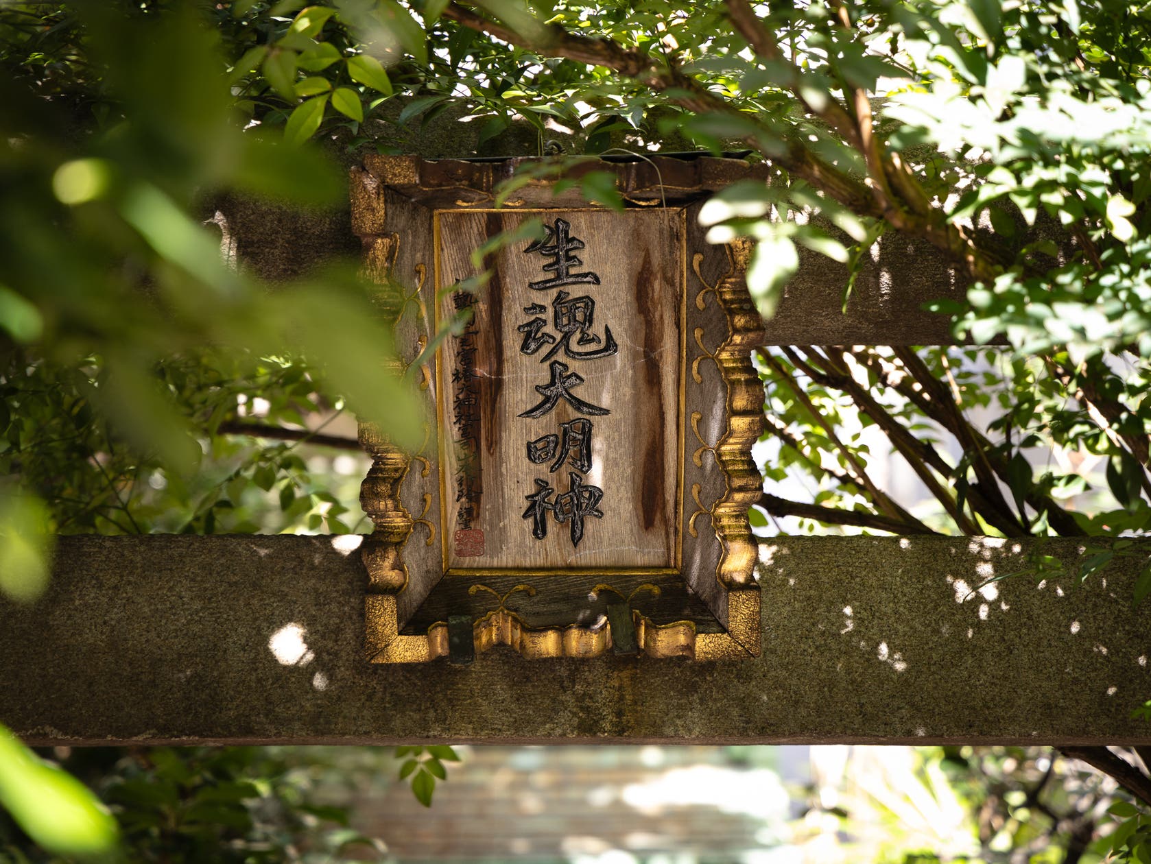 【展示会・撮影】Yanaka Ginza Studio / 谷中銀座スタジオの写真30