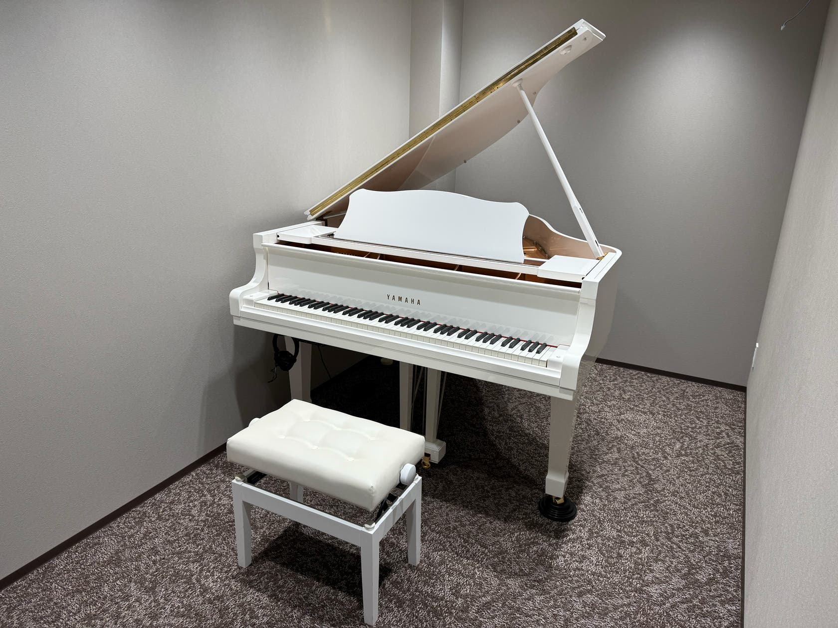 【用賀駅徒歩３分】8.33㎡/消音機能付きグランドピアノ備え付きの音楽ルーム（ルービー用賀 room1）の写真3