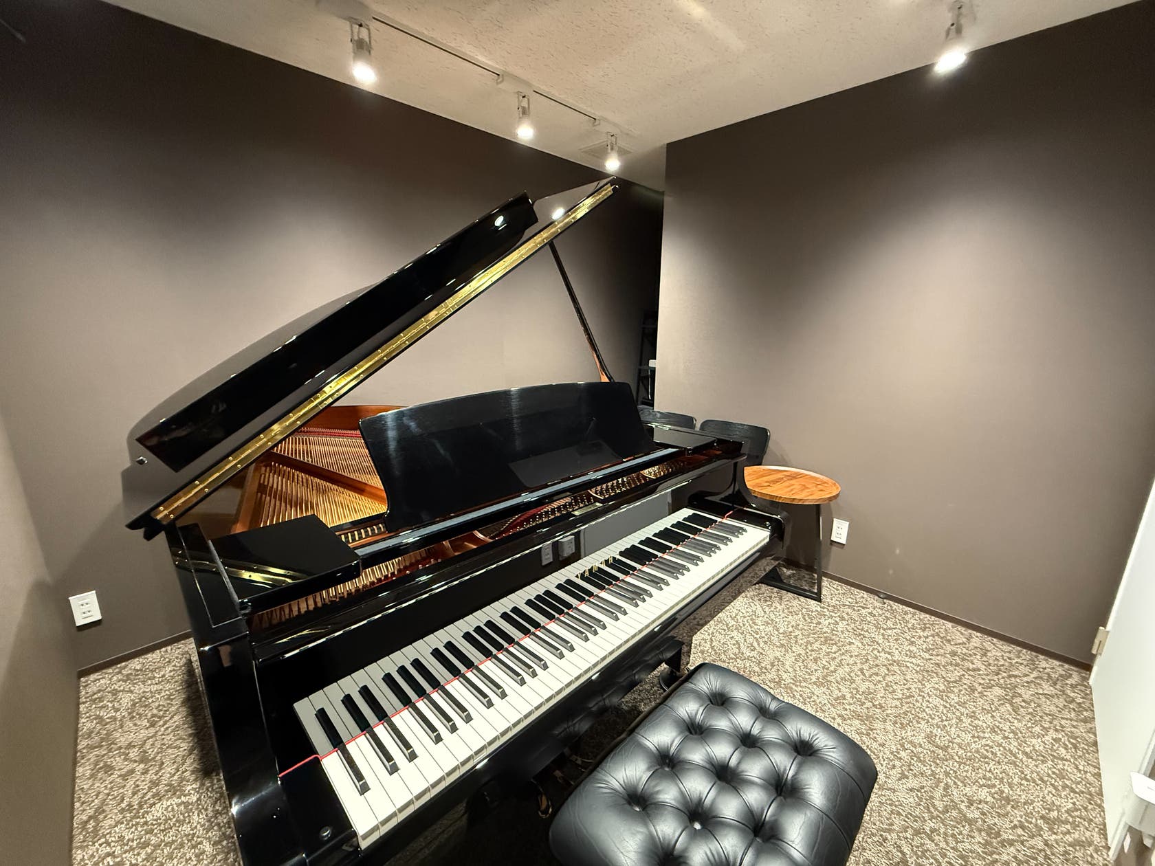 【用賀駅徒歩３分】8.57㎡/大型グランドピアノ備え付きの音楽ルーム（ルービー用賀 room2）の写真1