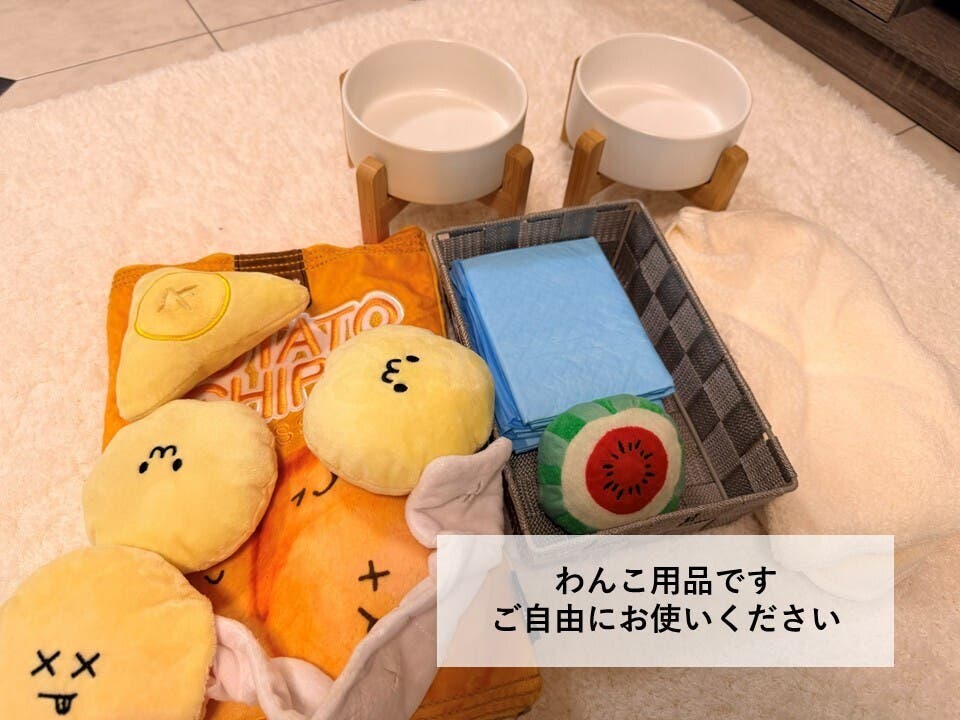撮影スタジオ兼パーティスペース☆押し活や女子会などに最適！ペット撮影もOK！地元で気軽に使おう♪の写真15