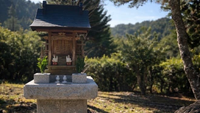 和とシノワズリが交差する、東洋の美意識が息づく非日常空間 日本家屋ハウススタジオの写真14