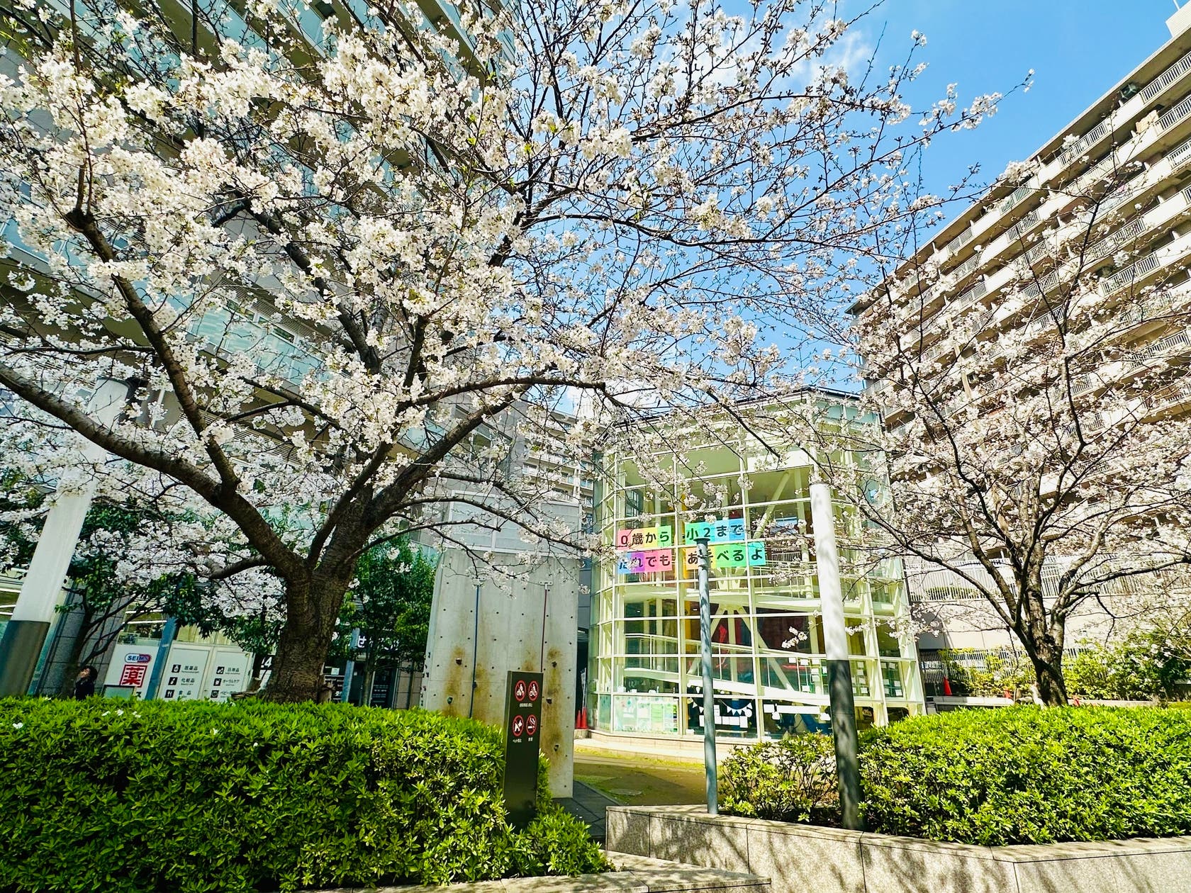 勝どき駅徒歩2分の子どもの遊び場室内遊具施設の写真1