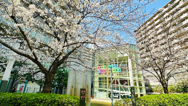 勝どき駅徒歩2分の子どもの遊び場室内遊具施設の写真1