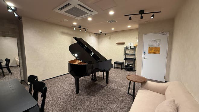 【大田区雪が谷大塚駅直結】32.80㎡/グランドピアノ完備。防音設備のある音楽ルーム。(ルービー 雪が谷大塚302号室)の写真4