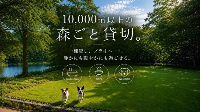 12,000㎡以上の森と水辺を貸切。音楽・撮影・BBQも自由に楽しめる完全プライベート空間!の写真2
