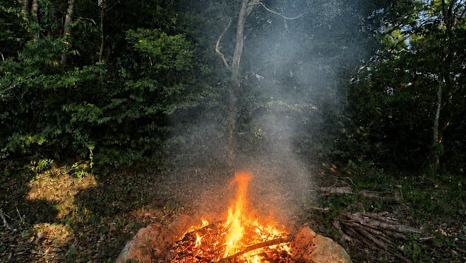 12,000㎡以上の森と水辺を貸切。音楽・撮影・BBQも自由に楽しめる完全プライベート空間!の写真24