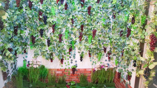 本所吾妻橋駅徒歩6分の可愛いレンタルスペース紅葉🍁ぶどう🍇ピンクの薔薇と猫のお部屋🐈⬛ポレート撮影🤍コスプレ🤍推し活の写真5