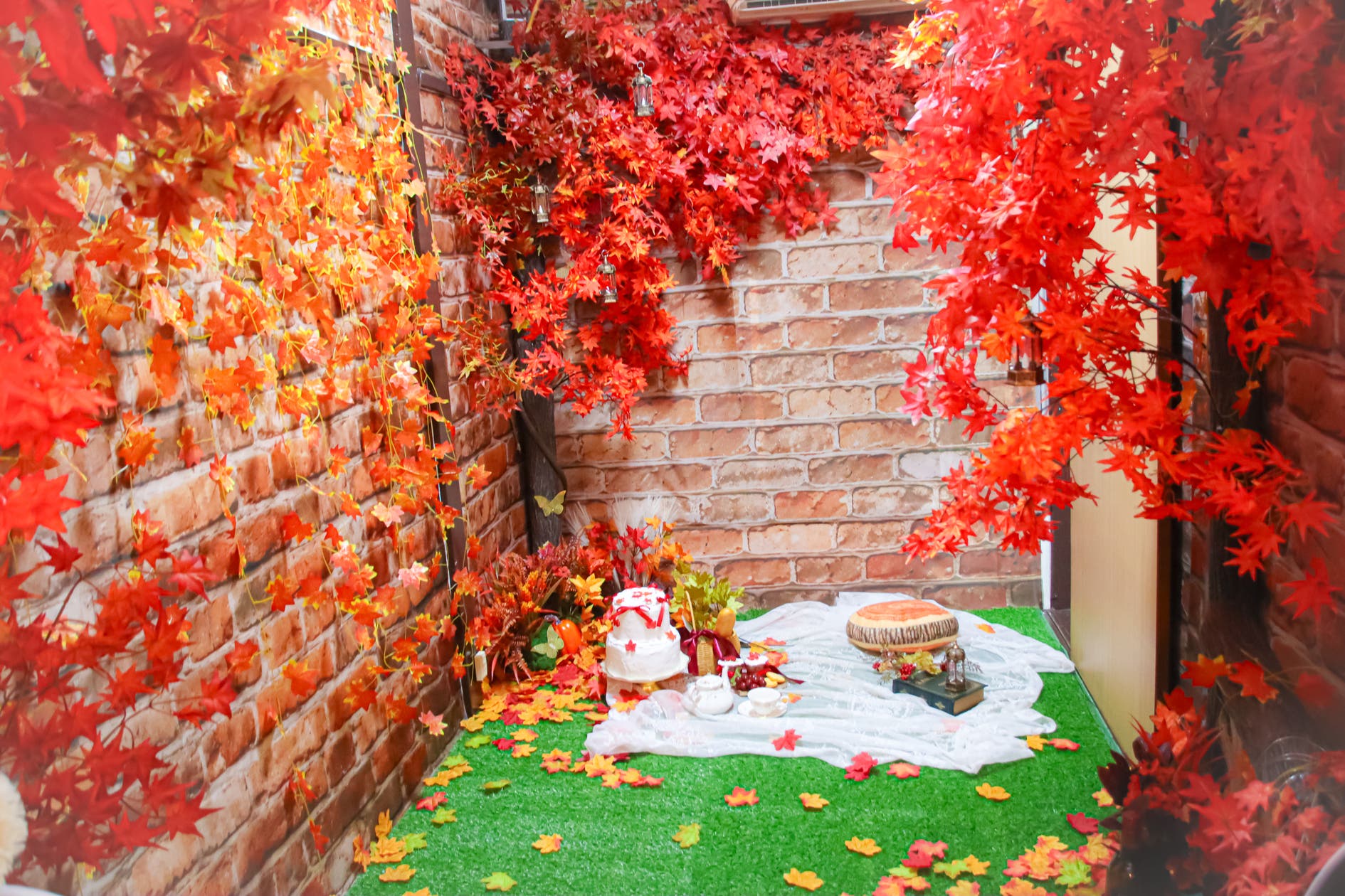 本所吾妻橋駅徒歩6分の可愛いレンタルスペース紅葉🍁ぶどう🍇ピンクの薔薇と猫のお部屋🐈‍⬛ポレート撮影🤍コスプレ🤍推し活の写真2