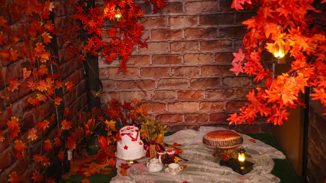 本所吾妻橋駅徒歩6分の可愛いレンタルスペース紅葉🍁ぶどう🍇ピンクの薔薇と猫のお部屋🐈⬛ポレート撮影🤍コスプレ🤍推し活の写真6