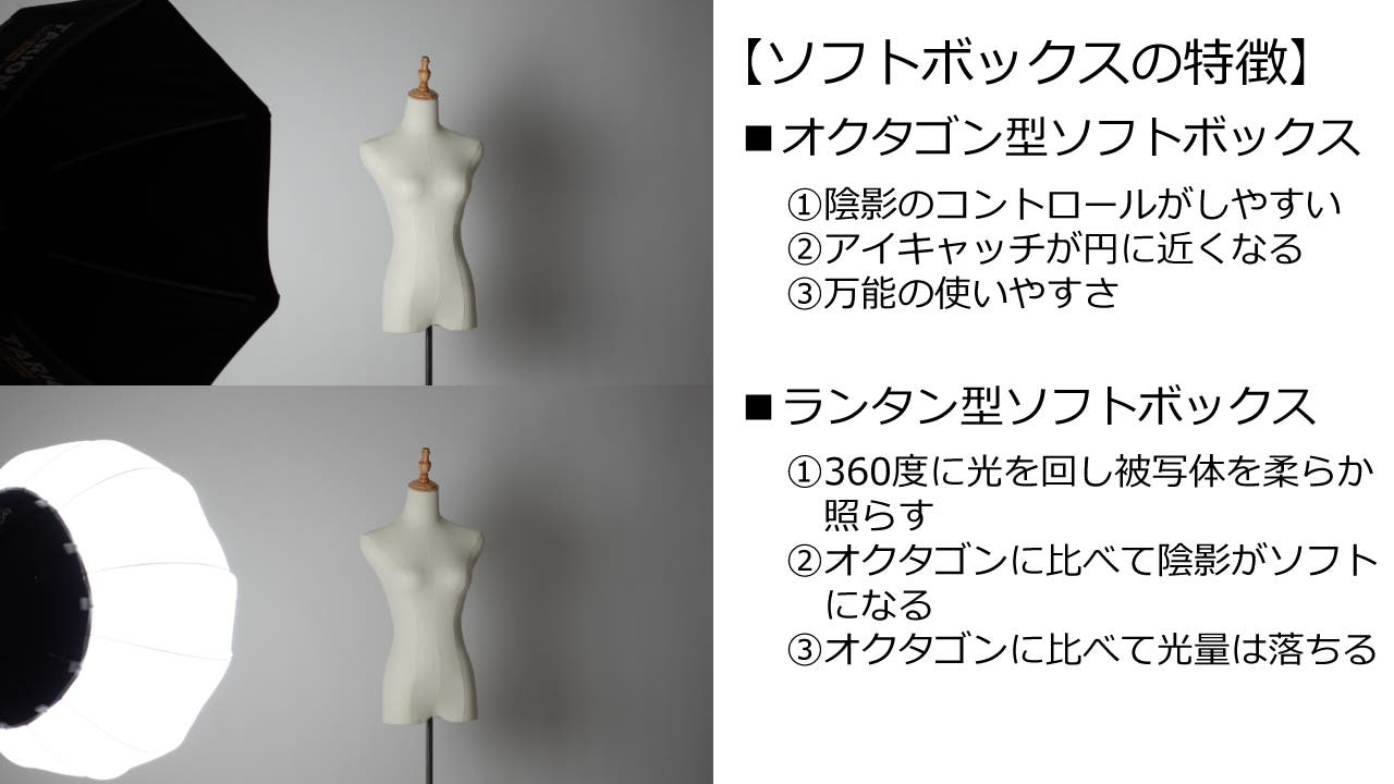 【中野7分】南と北の自然光×北欧｜フルカラーLEDライト＋背景紙無料｜【人物撮影｜ペット可】の写真17