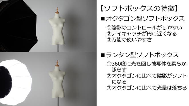 【中野7分】南と北の自然光×北欧|フルカラーLEDライト+背景紙無料|【人物撮影|ペット可】の写真17