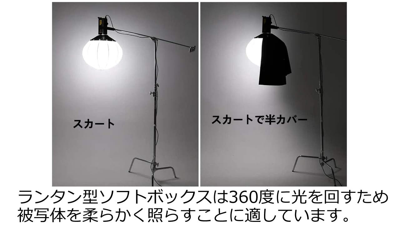 【中野7分】南と北の自然光×北欧｜フルカラーLEDライト＋背景紙無料｜【人物撮影｜ペット可】の写真18