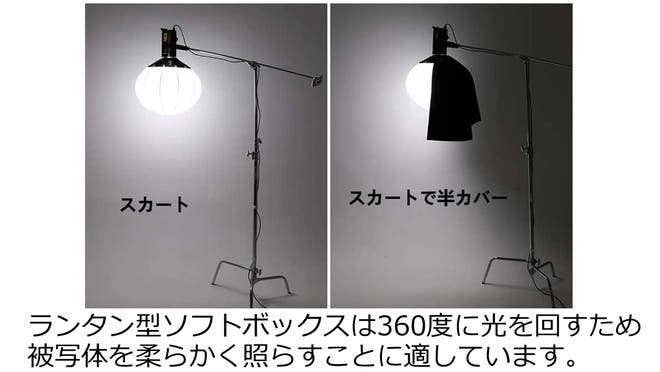 【中野7分】南と北の自然光×北欧|フルカラーLEDライト+背景紙無料|【人物撮影|ペット可】の写真18
