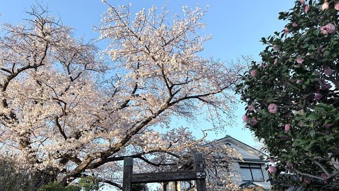 京急線「上大岡駅」から徒歩3分、横浜の古民家・多目的スペース「水車屋」撮影実績多数!の写真21