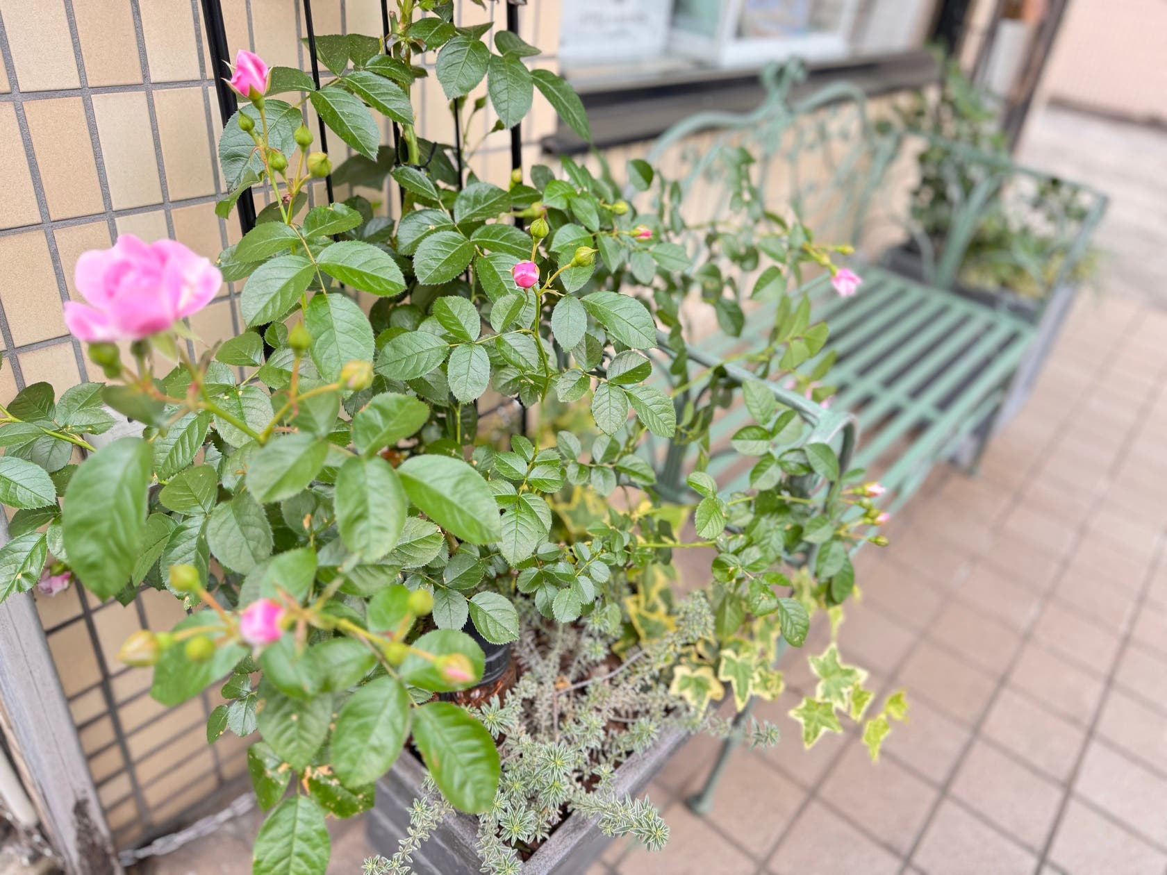 仙川駅徒歩3分♪アンティークに囲まれた小さなSpace♪女子会・お茶会・レッスン・撮影にの写真12