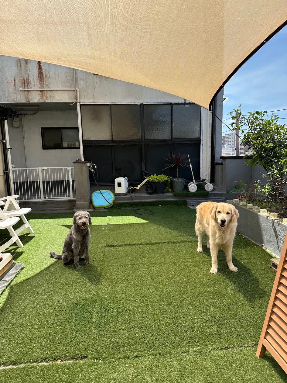 屋上ドッグラン付き｜深江橋駅7分の貸切ドッグカフェ88㎡の写真16