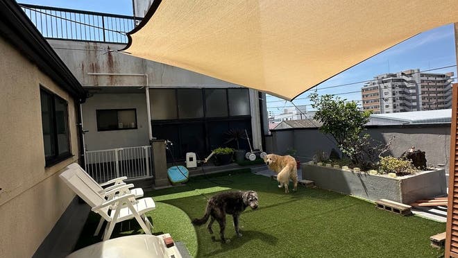 屋上ドッグラン付き|深江橋駅7分の貸切ドッグカフェ88㎡の写真19