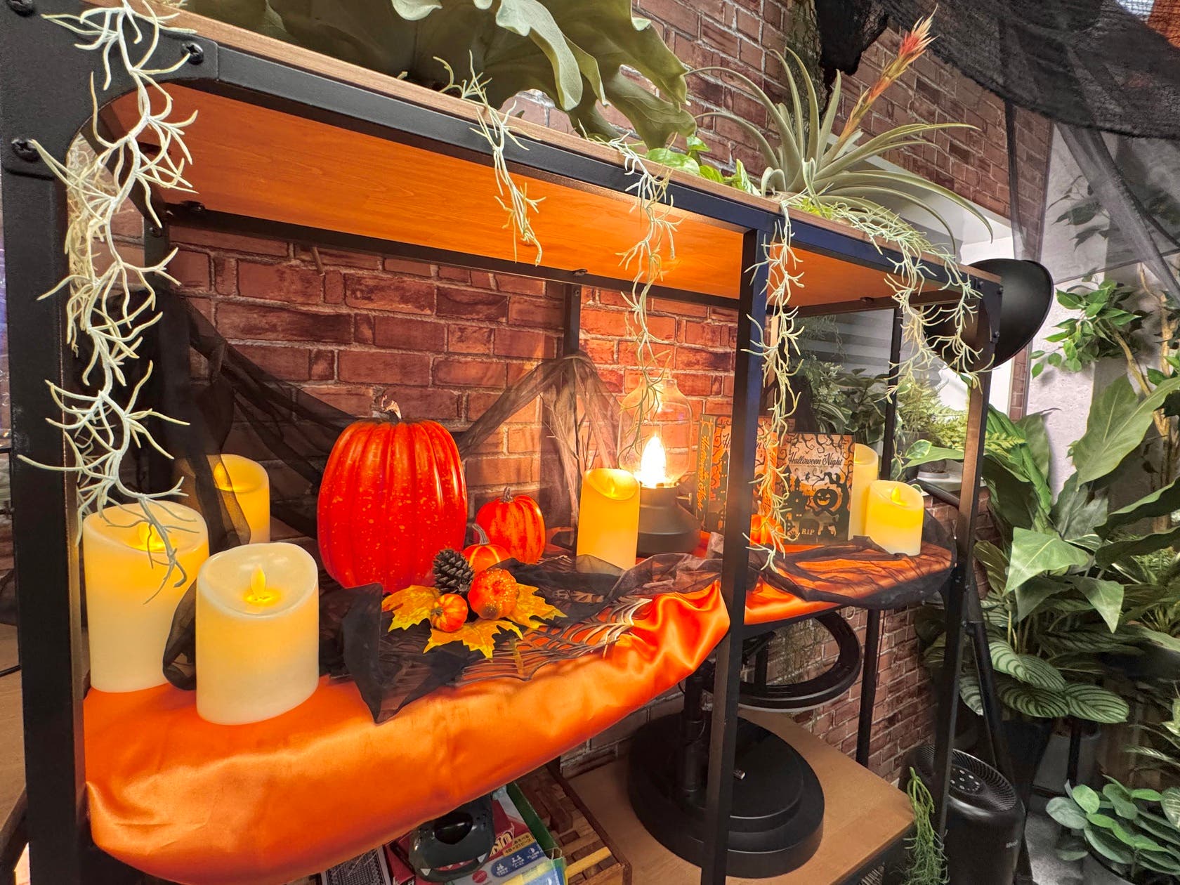 🎃森の中のハロウィン🎃シックな森空間🌳神田駅5分🥂最大14名🎉女子会👏推し活📷コスプレ撮影🍕電気式ピザ窯の写真2