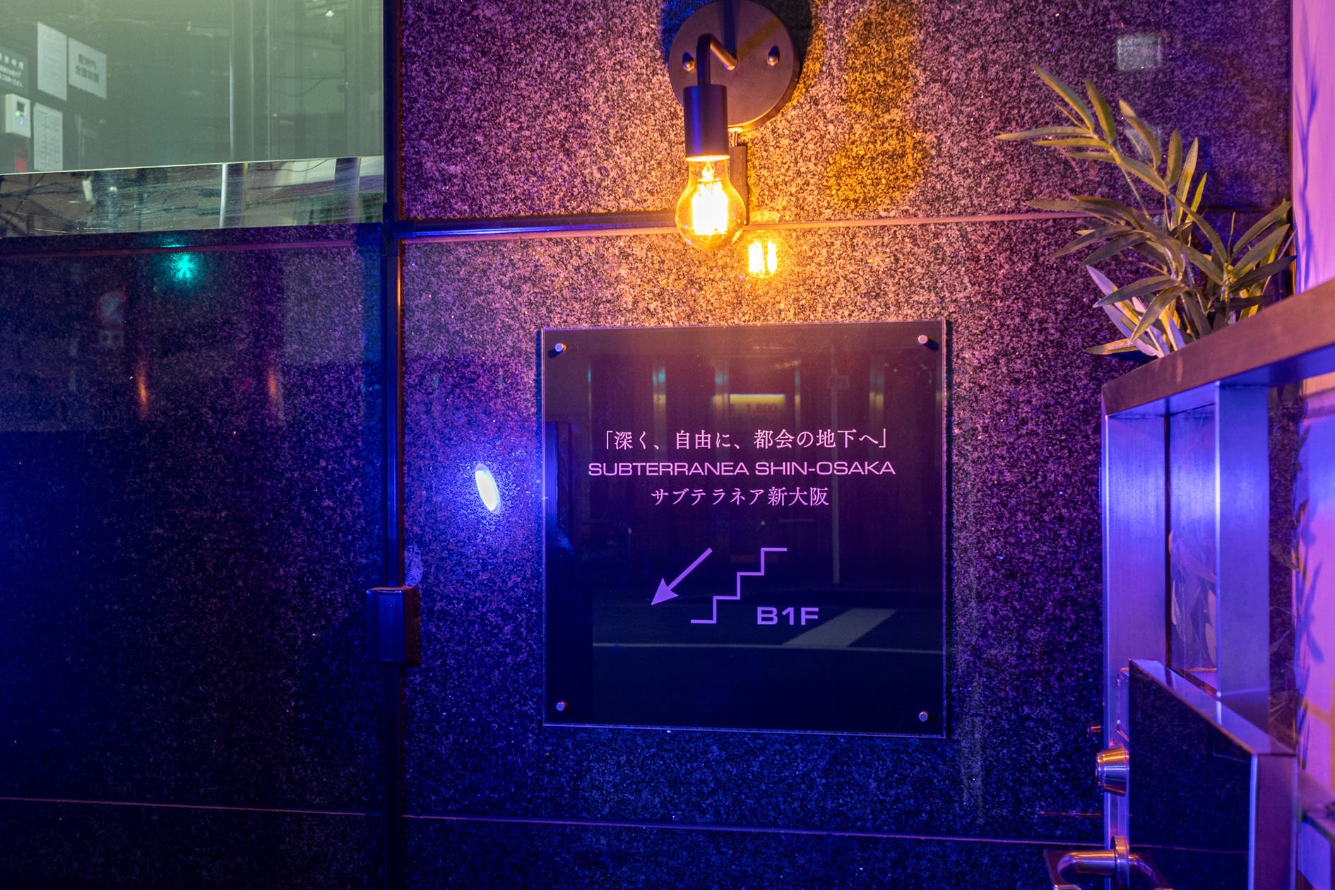 📷追加写真ギャラリー⑧【PHOTO GALLERY Vol.08】の画像1