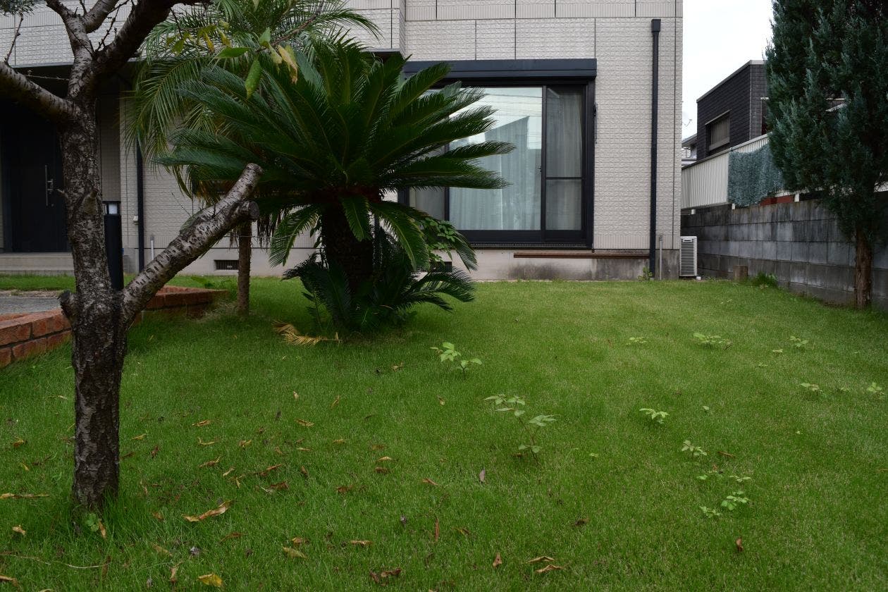 自然の光溢れる　広い 庭付き１軒屋　９０坪　建物面積27０㎡　庭30坪 ゆったりとしたハウススタジオの写真10