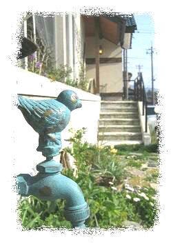 レンタル　ふぁーちゃの写真7