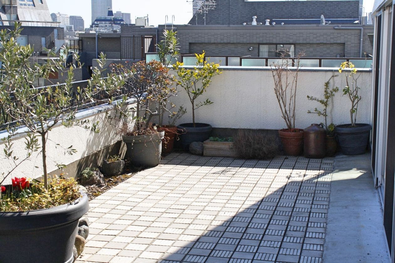 【渋谷徒歩6分】ギャラリー、展示会、教室、会議に最適 明るく静かな安らぎの空間 ZAB 全体貸しの写真11