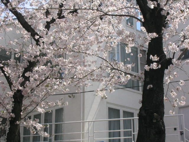 サクラボロー1階【会議 セミナー イベント ゲーム会 】高速ネット 駐車場 大画面プロジェクター/ ショップ 商談 の写真15